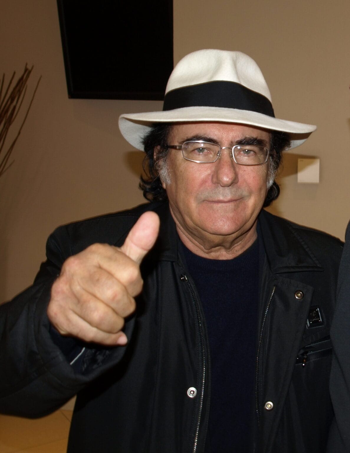 Al Bano Vermögen | Privatvermögen des Sänger & Winzers 2026